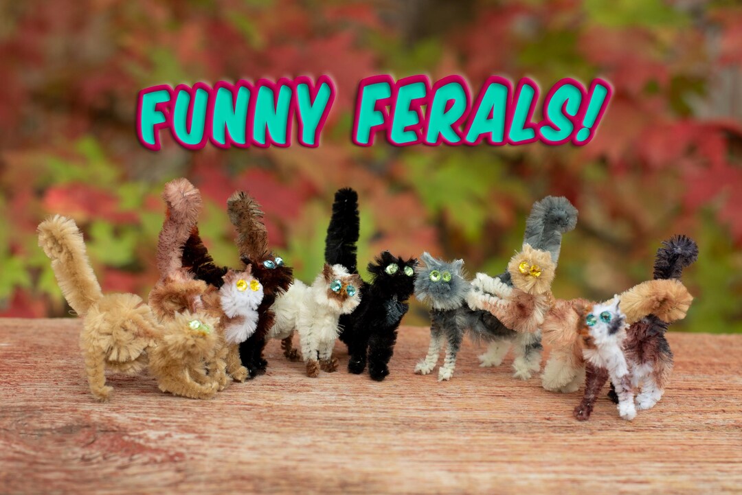 Choose Your Color- Posable Chenille Stem Cat: Funny Feral Kitty - Etsy