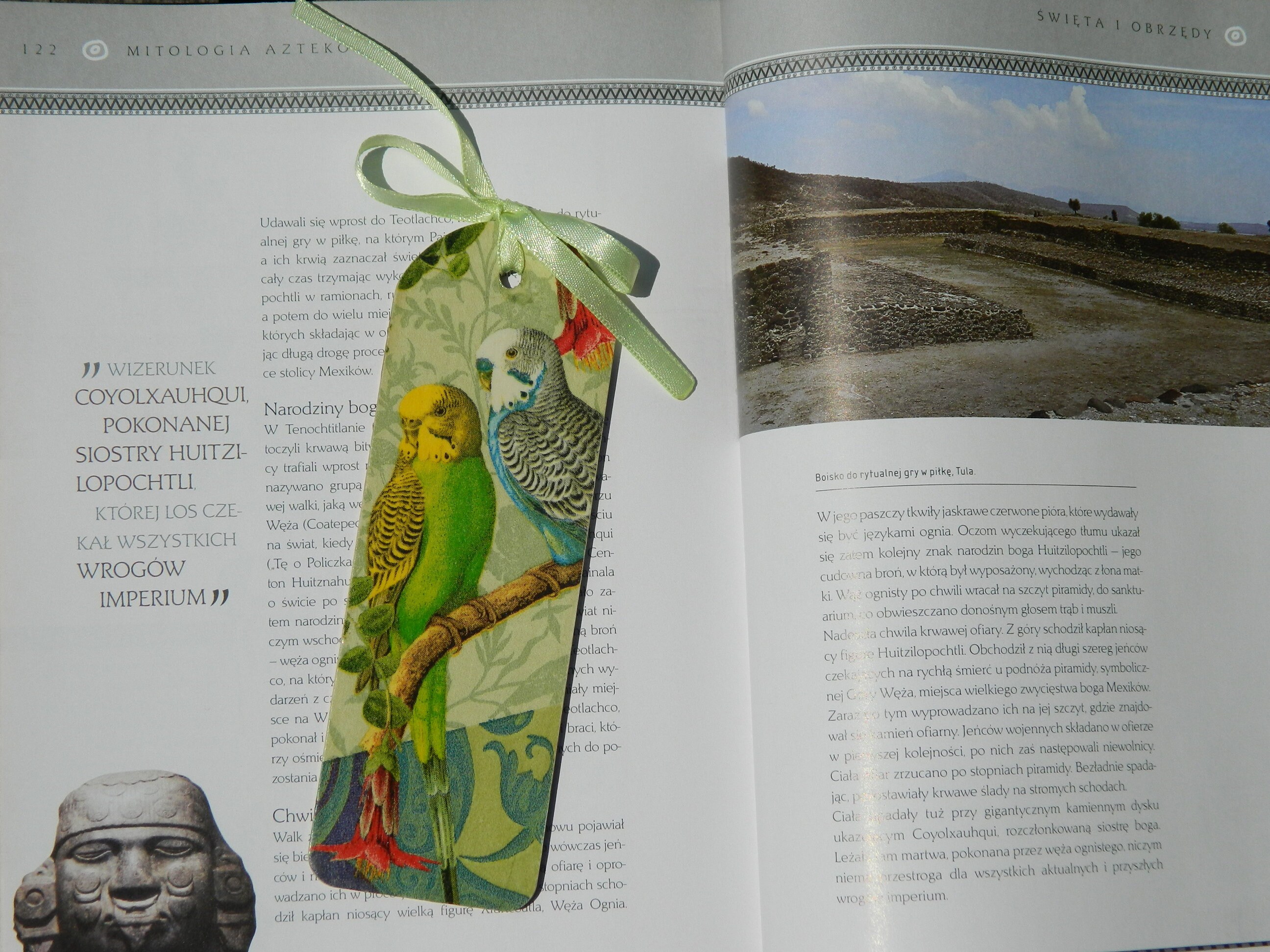 Wooden Bookmark With Budgerigar, Gift With Yellow-green and Blue Budgie ...