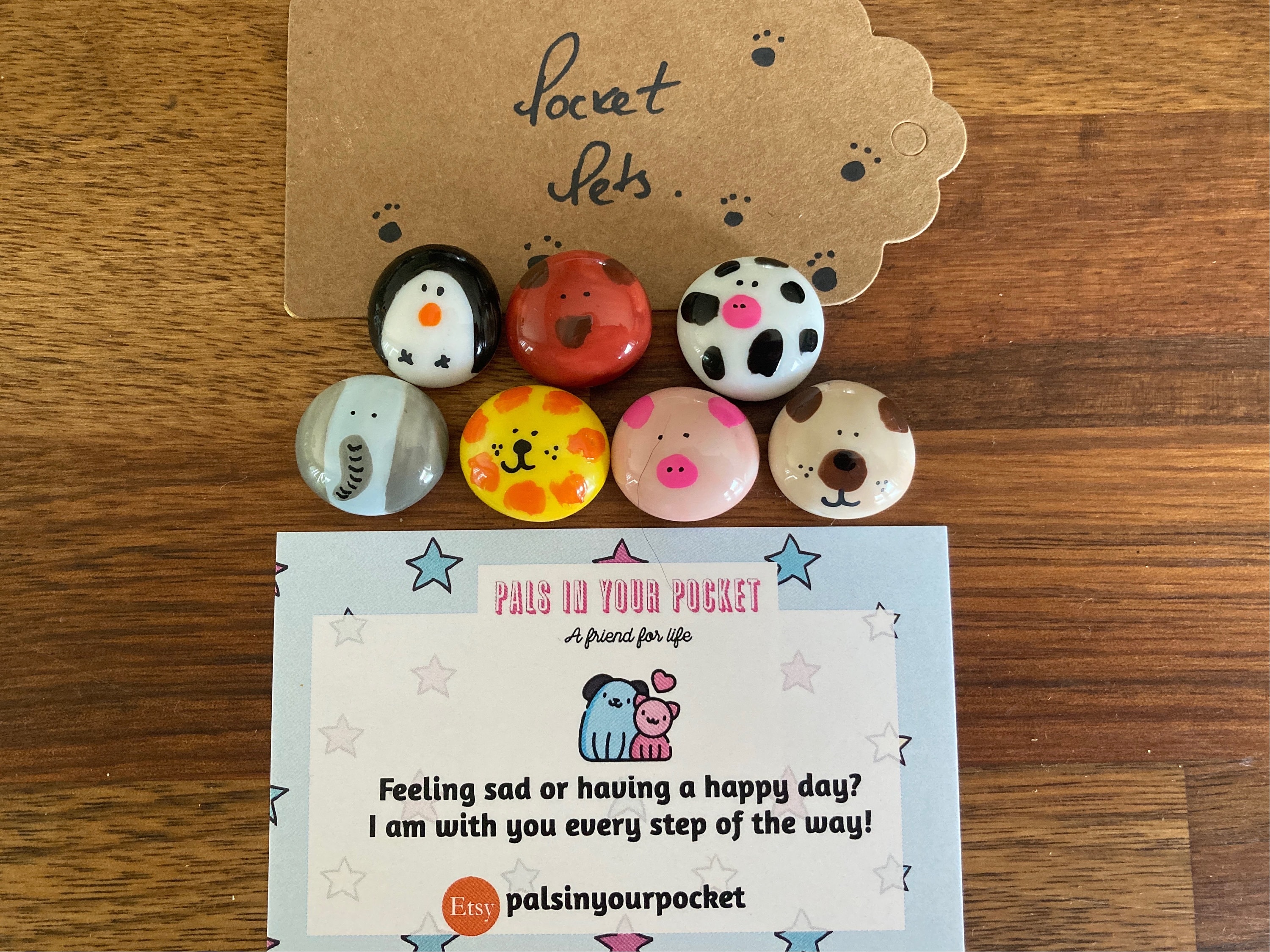 Pocket Pets, Little Animal Rocks. Self Care. Worries. Cute Painted ...