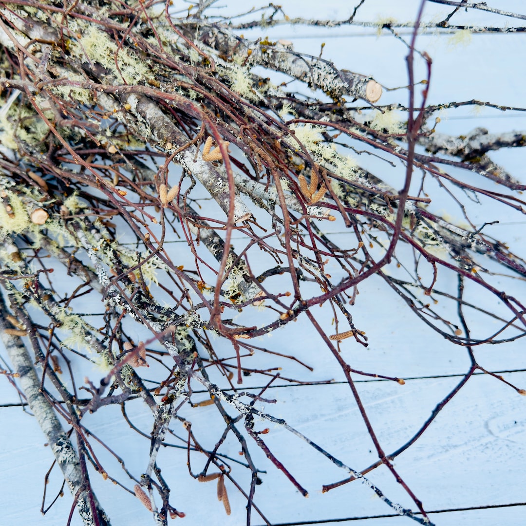 Natural Preserved Moss Branches: Rustic Home Decor, DIY Terrarium ...
