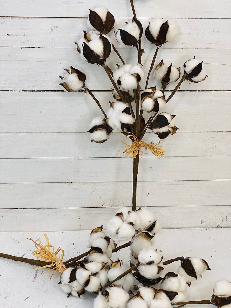 Rustic Cotton Stem Rustic Farmhouse Decor Dried Cotton - Etsy