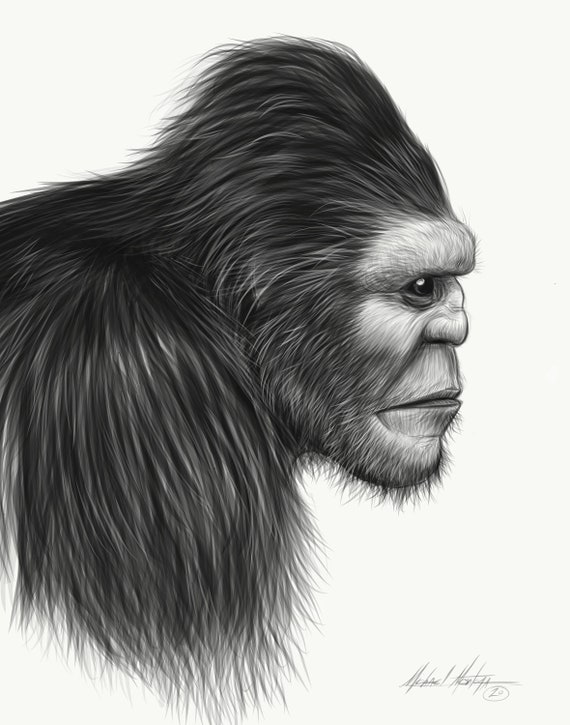 Bigfoot Face Drawing
