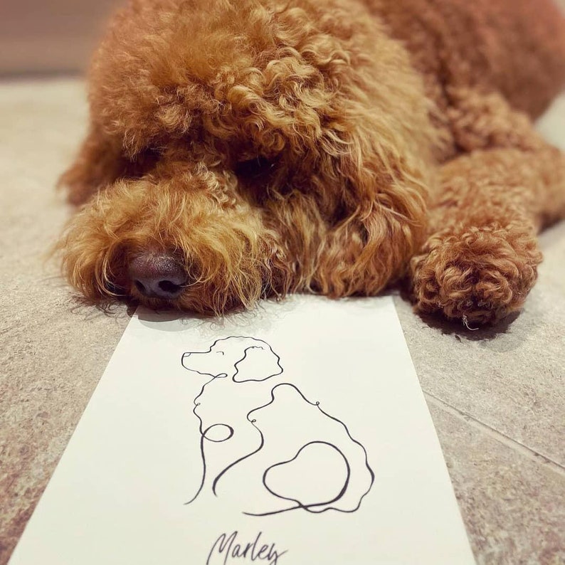 Personalised Cockapoo Print Minimalist Cockapoo Line Art | Etsy