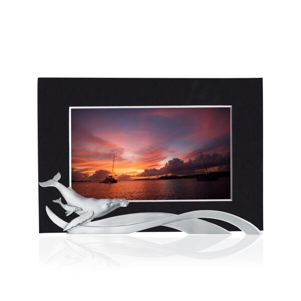 Whale Pictures - Etsy