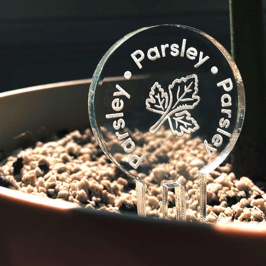 Lasercut Parsley Marker • Plant Accessory • Clear Acrylic Herb Sign - Etsy