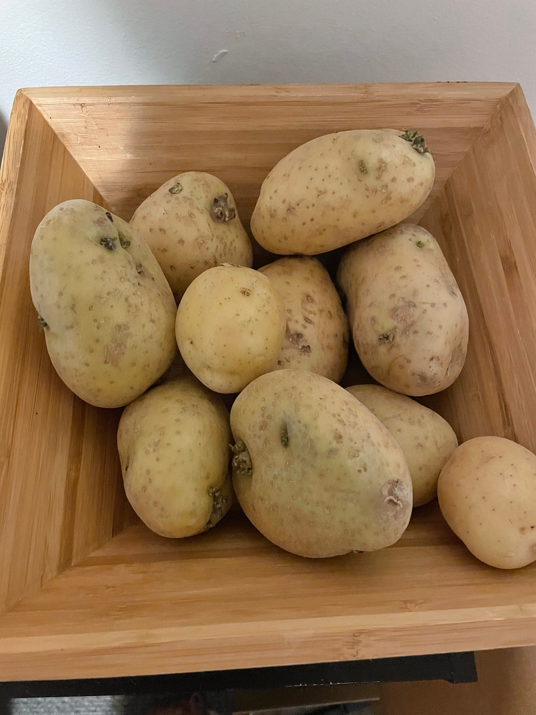 Yukon Gold Seed Potatoes - Etsy