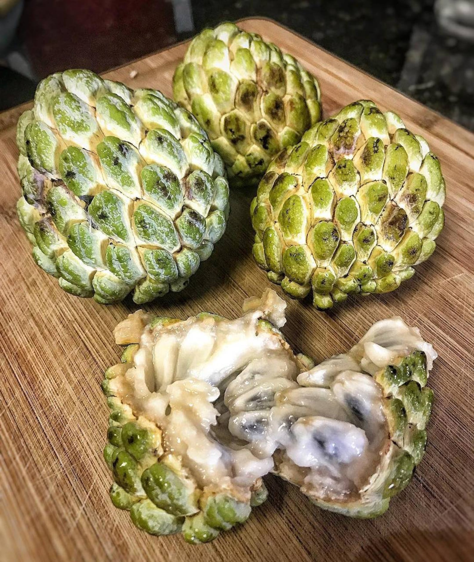 Sugar Apple Tree Cachiman Custard Apple | Etsy