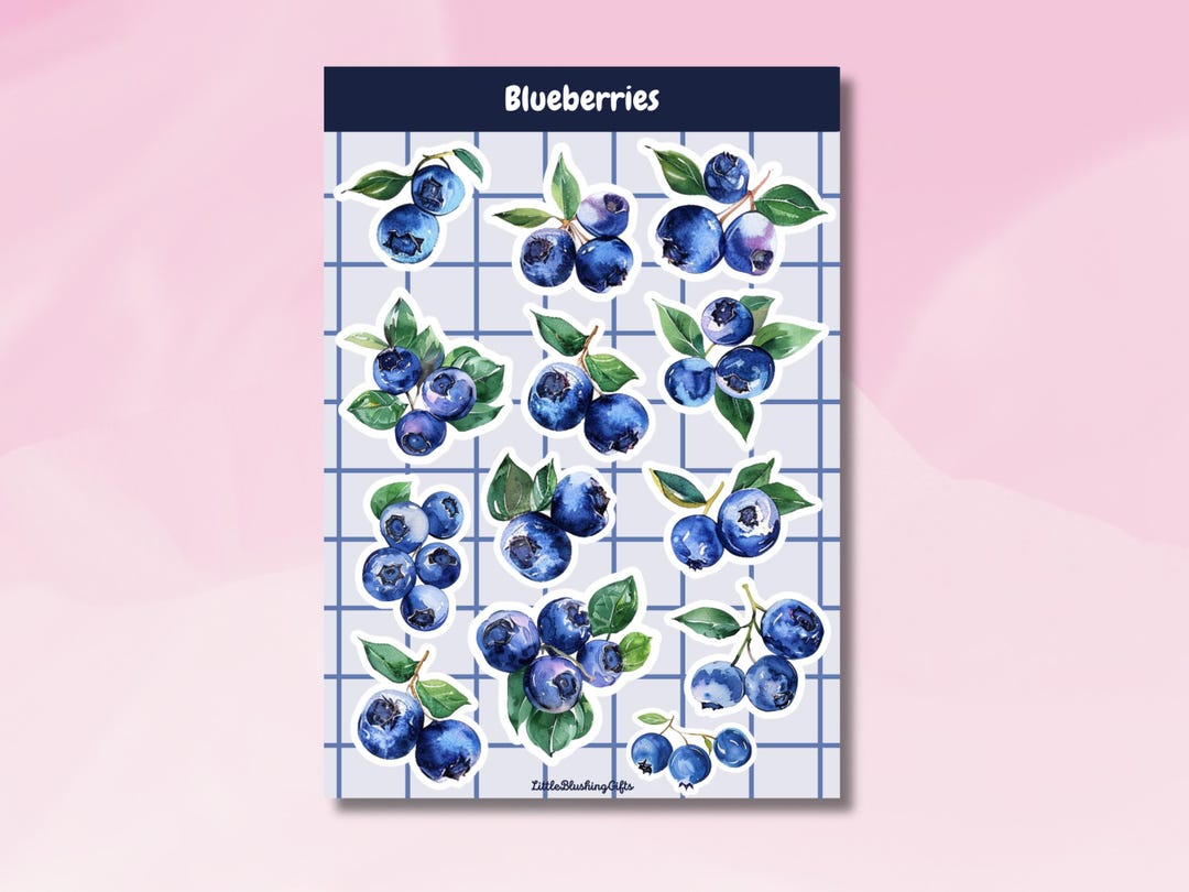 Watercolor Blueberry Stickers: Glossy or Matte A5 Stickersheet - Etsy
