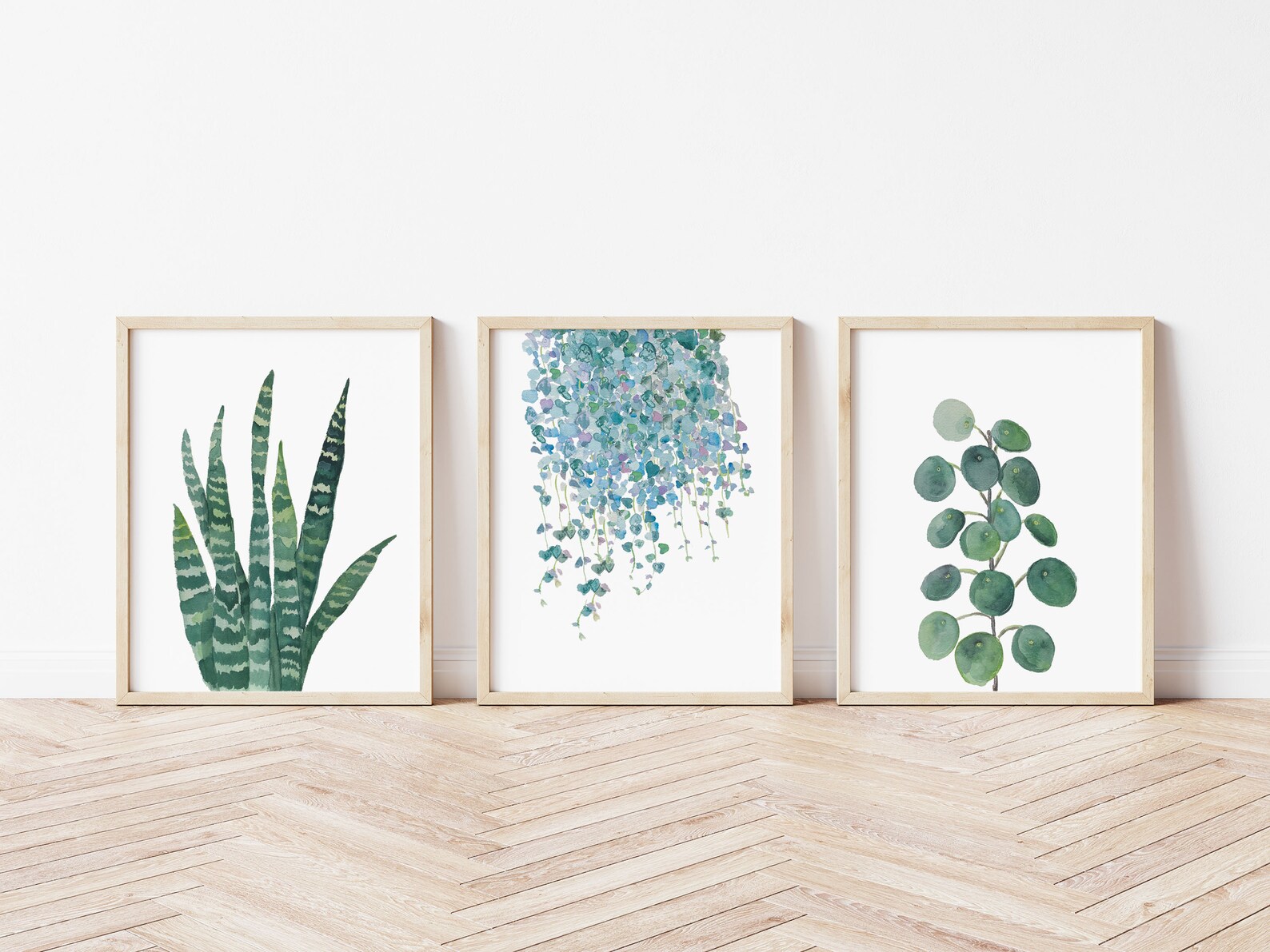 Snake Plant Watercolor Painting | Plant Art | 11x14 8x10 5x7 - Etsy