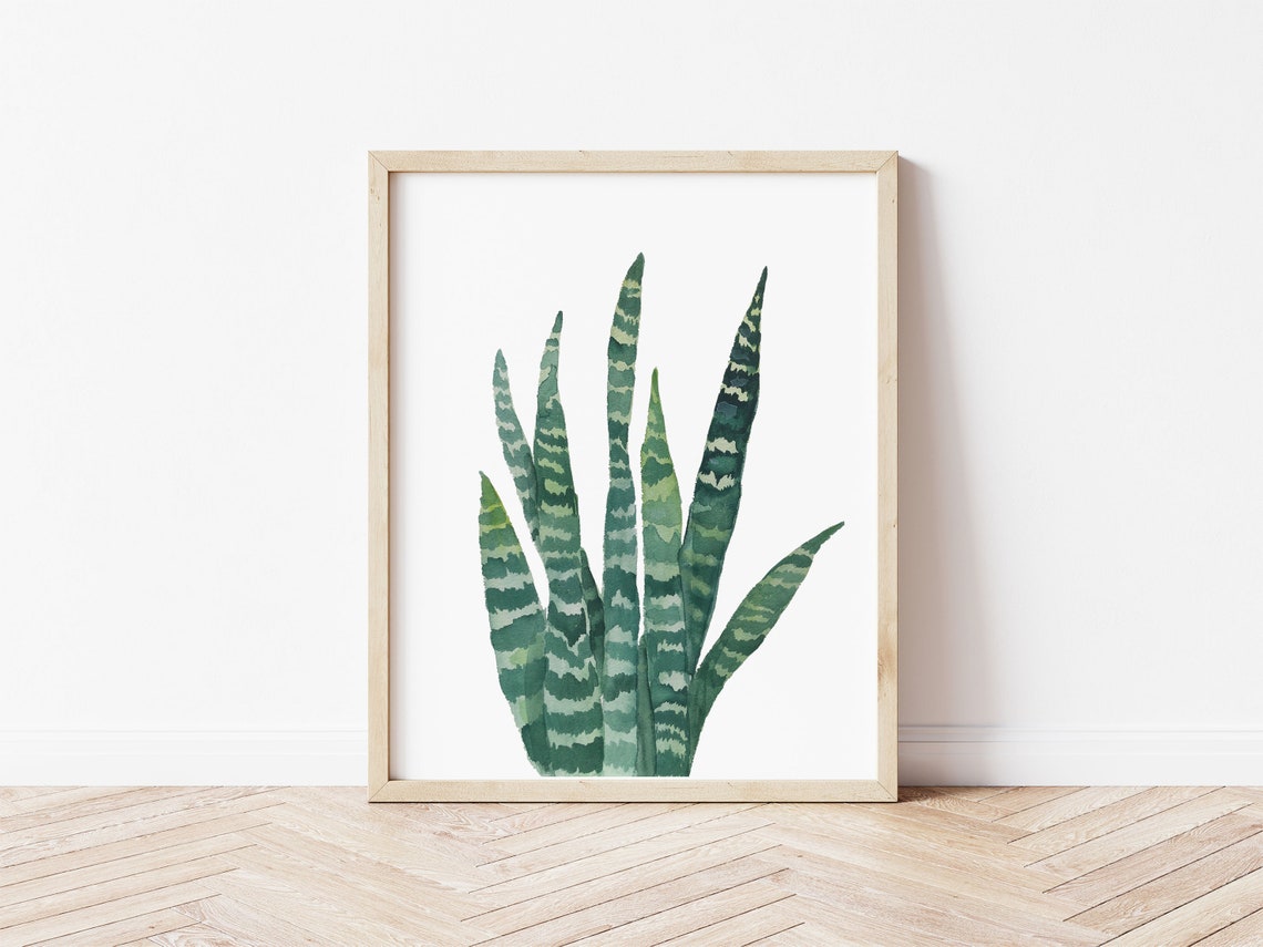 Snake Plant Watercolor Painting | Plant Art | 11x14 8x10 5x7 - Etsy