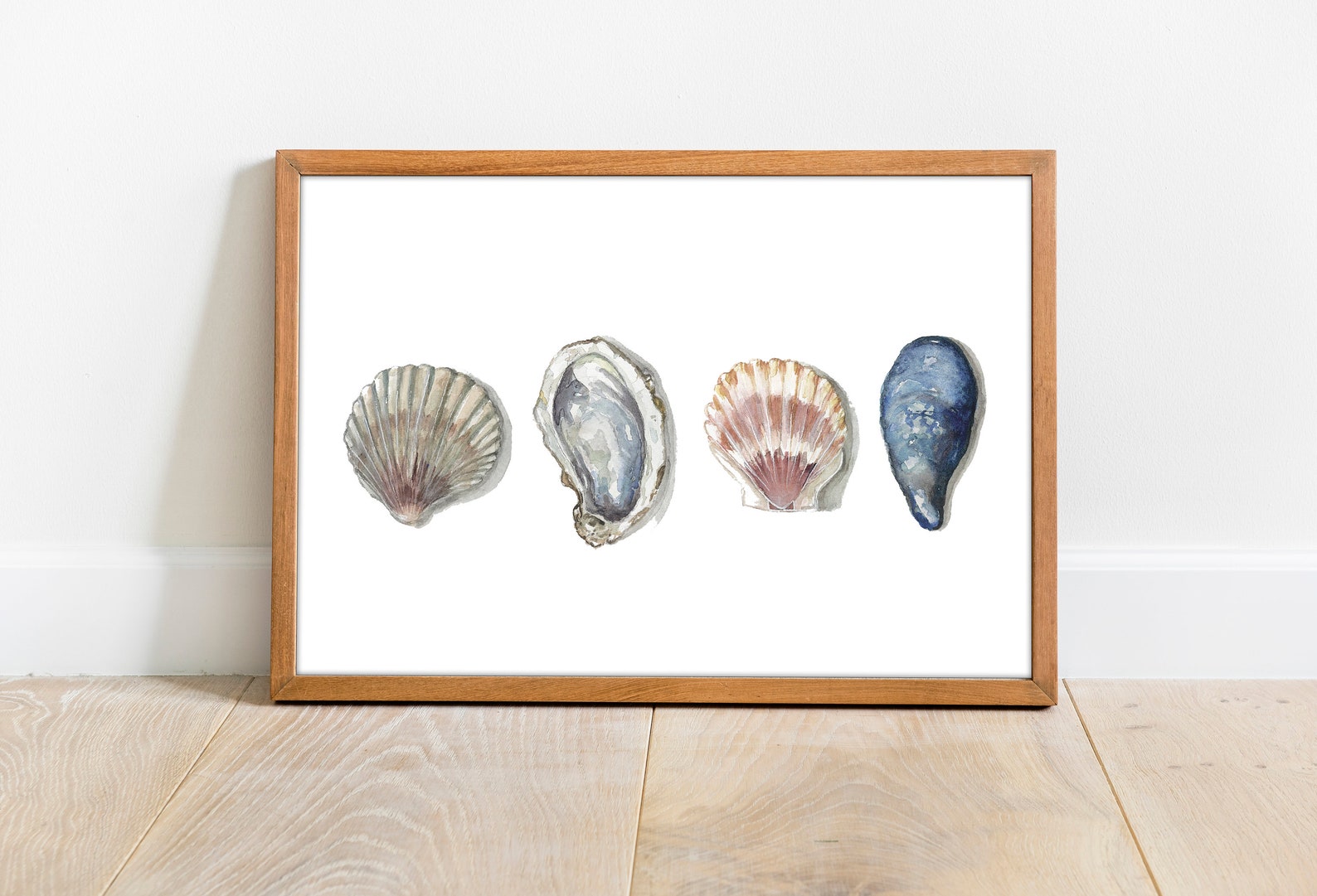 Clam Shell Study Watercolor Painting Print Oyster Clam Mussel Shell ...