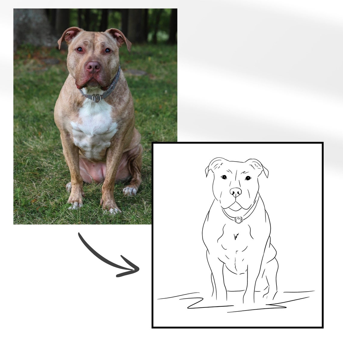 Custom Animal Drawing, Digital Download, Simple Animal Sketch, Animal ...