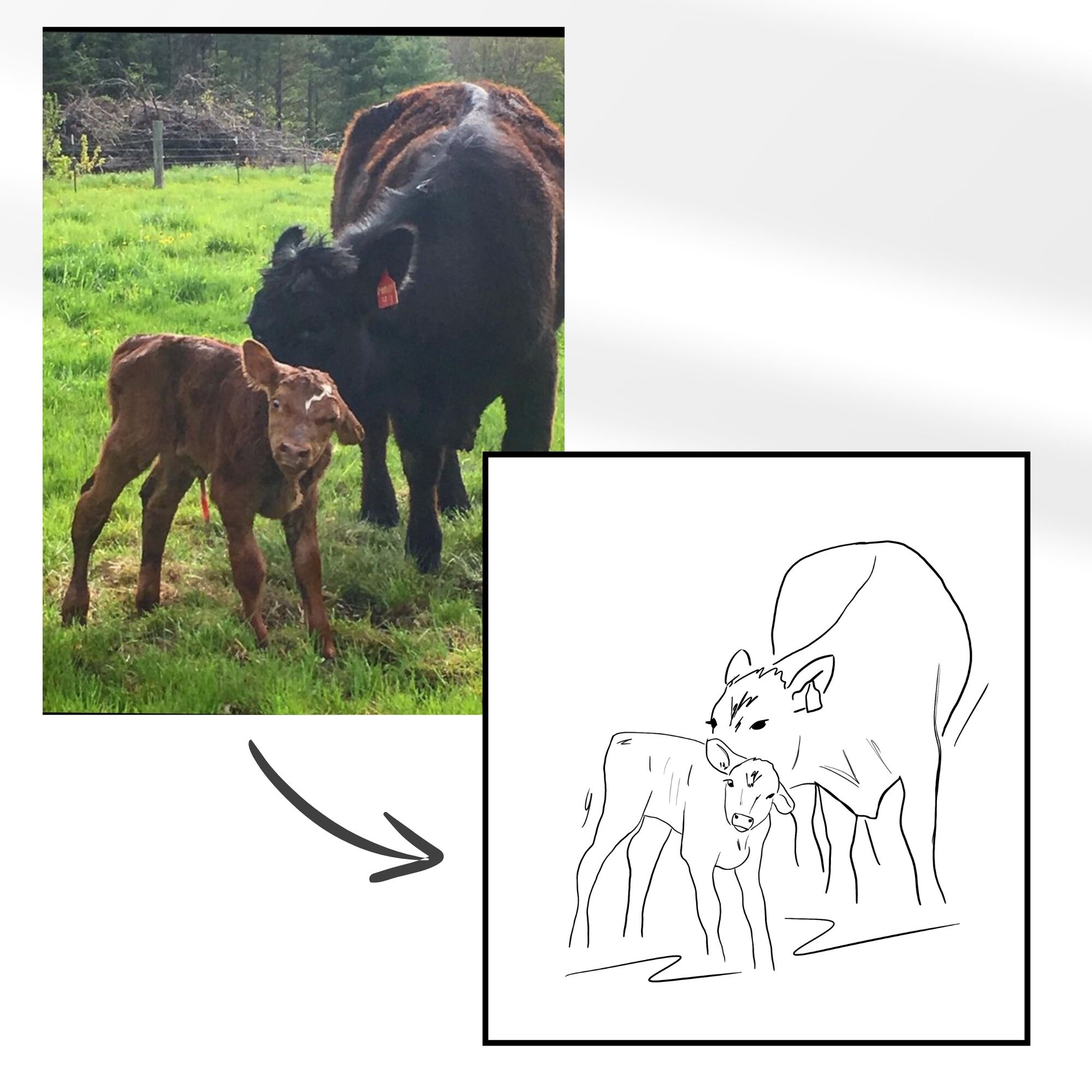 Custom Animal Drawing, Digital Download, Simple Animal Sketch, Animal ...