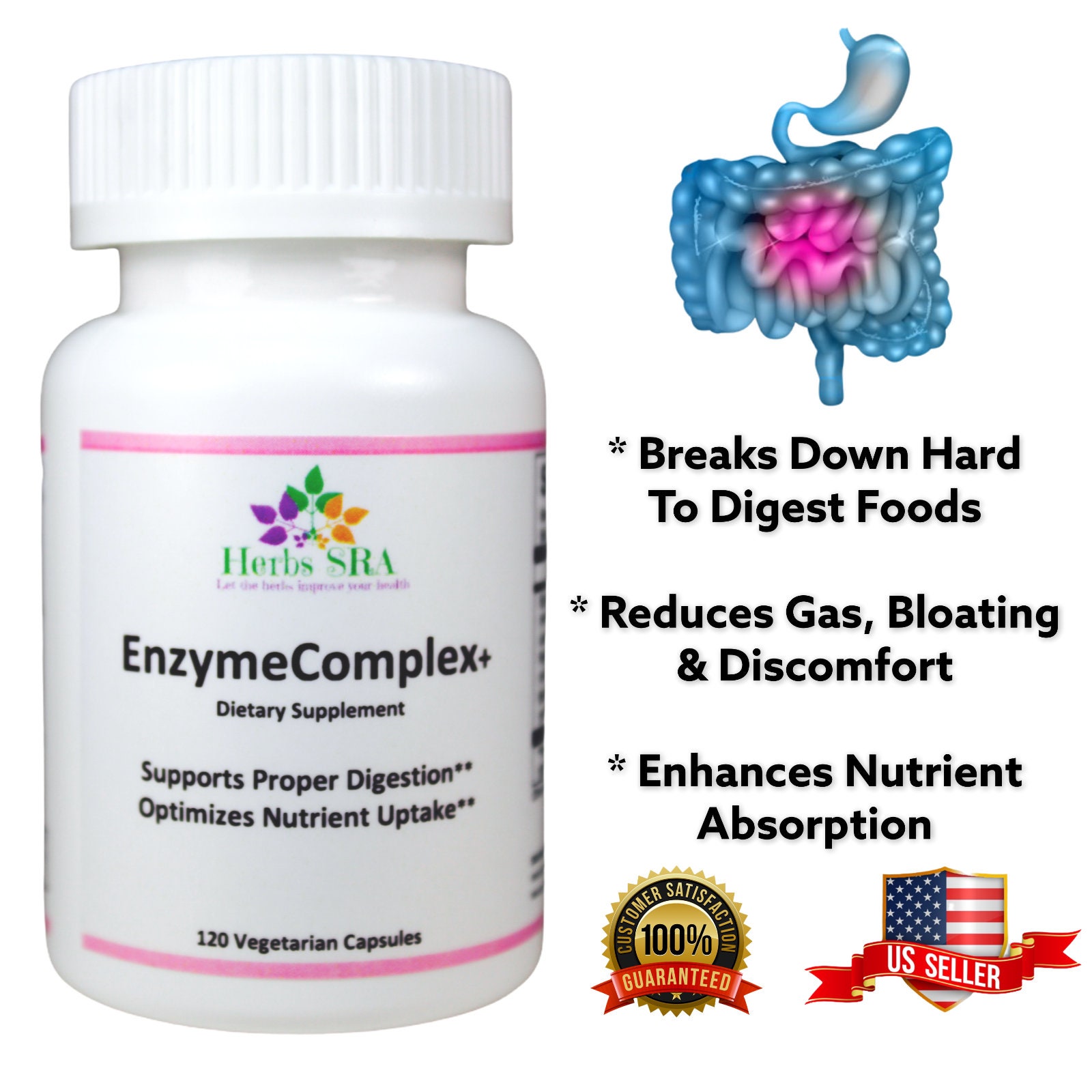 Enzyme Complex, Amylase, Protease, Bromelain, Lipase, Enzyme Supplement ...