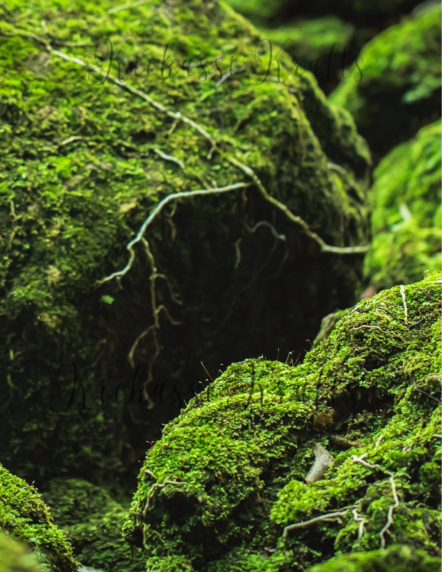 Moss Digital Download, Moss Printable Wall Art, Moss Art, Moss ...