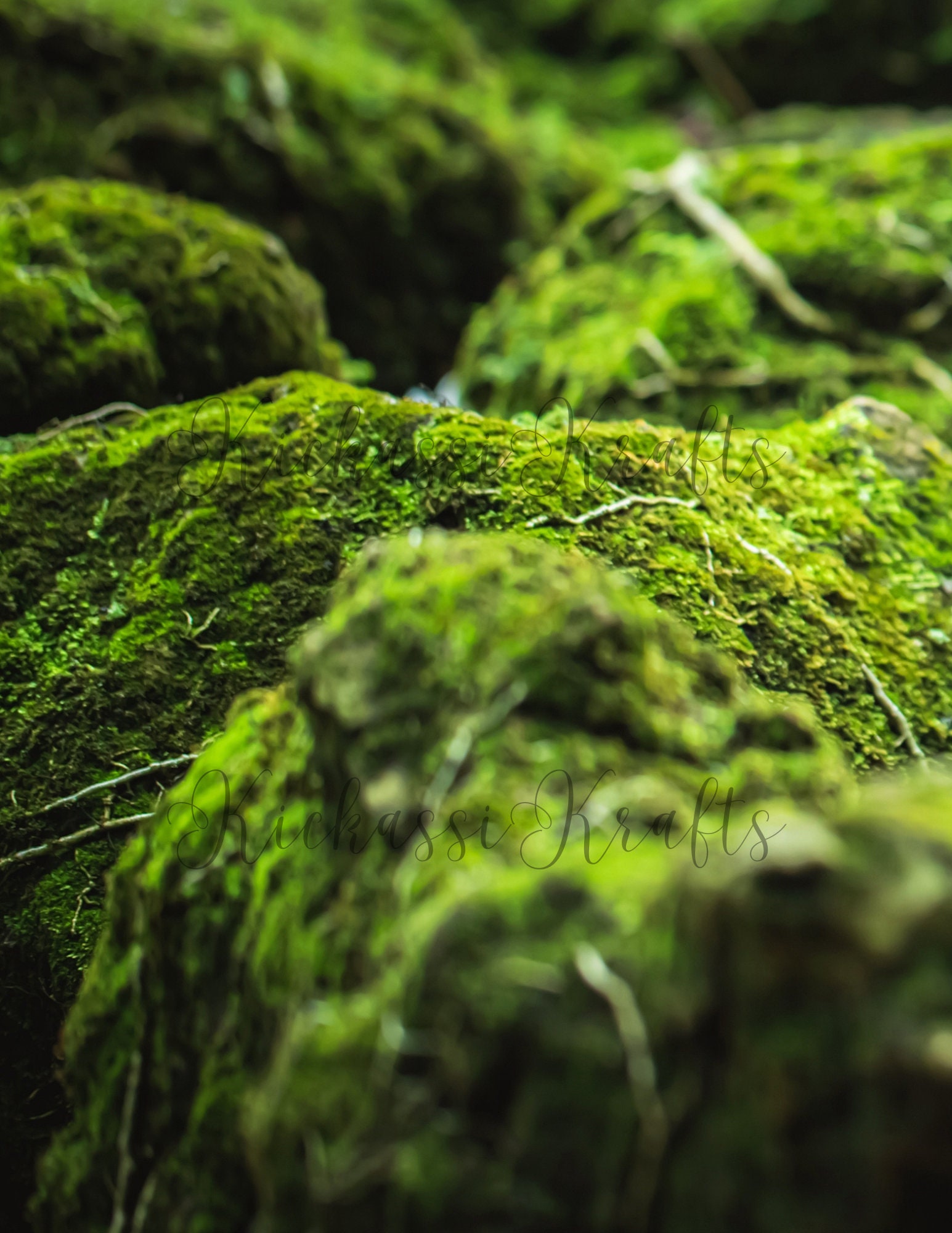 Moss Digital Download Moss Printable Wall Art Moss Art Moss - Etsy