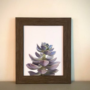 Digital Print Succulent, Boho Plant Print, Print, Homedecor, Art ...