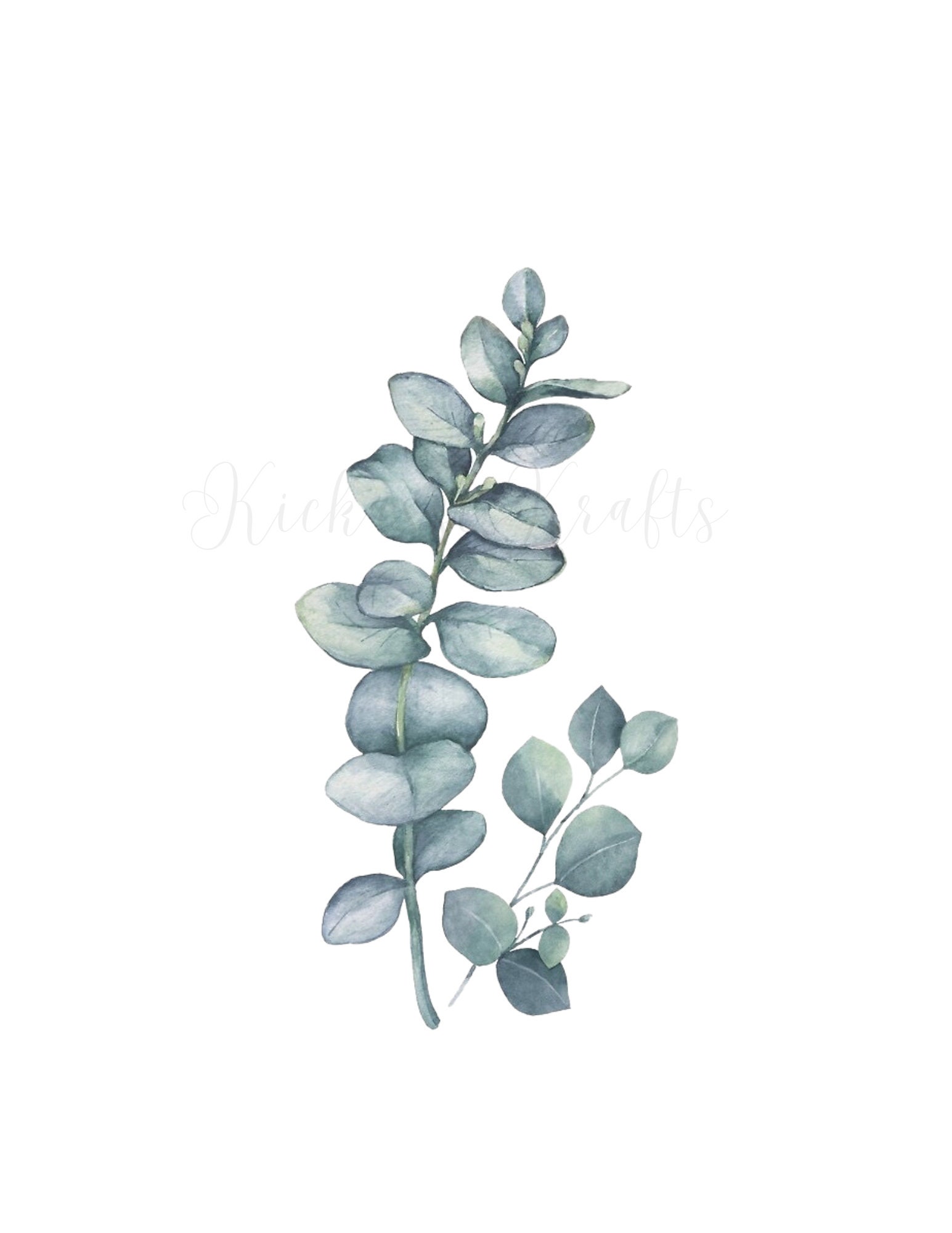 Digital Print: Eucalyptus Leaves Digital, Digitalprints ...