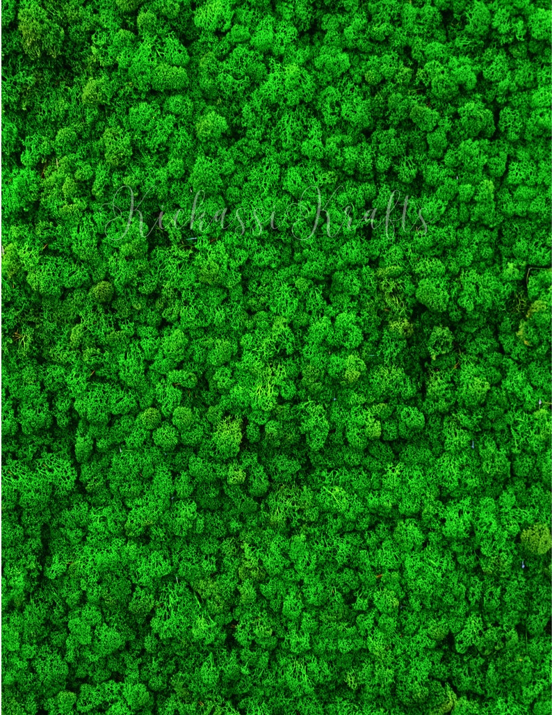 Moss Digital Download, Moss Printable Wall Art, Moss Art, Moss ...