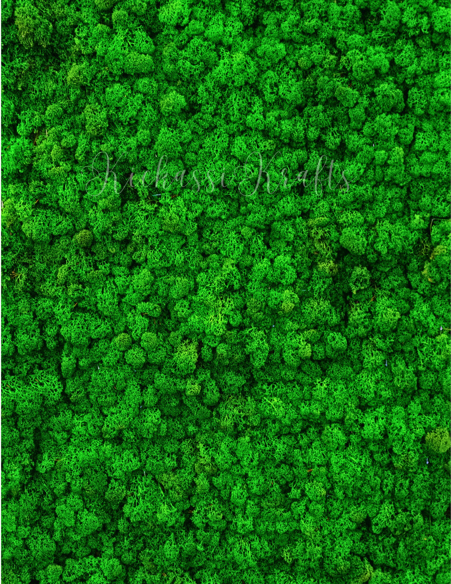 Moss Digital Download, Moss Printable Wall Art, Moss Art, Moss ...