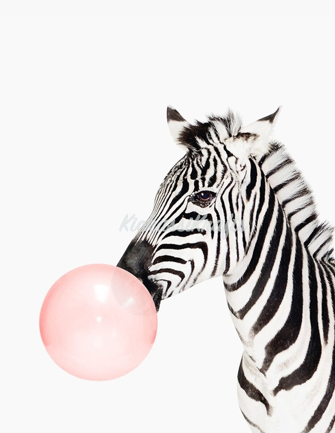 Zebra Bubble Gum Digital Print Digital, Digitalprints, Nursery, Baby ...