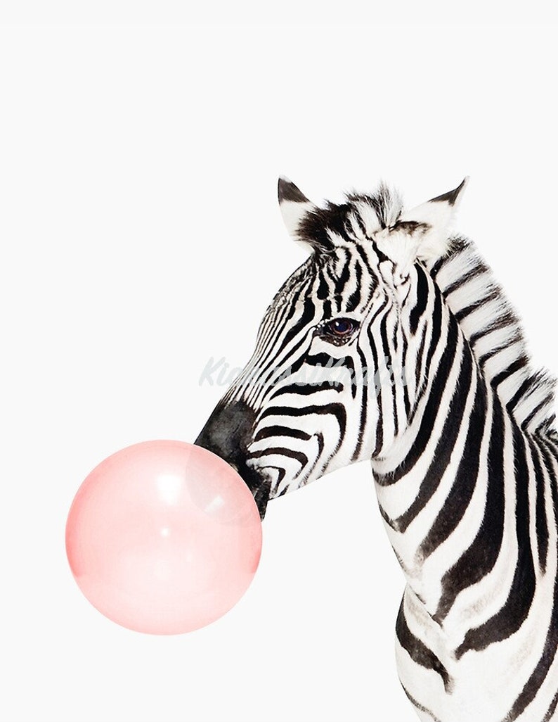 Zebra Bubble Gum Digital Print Digital, Digitalprints, Nursery, Baby ...