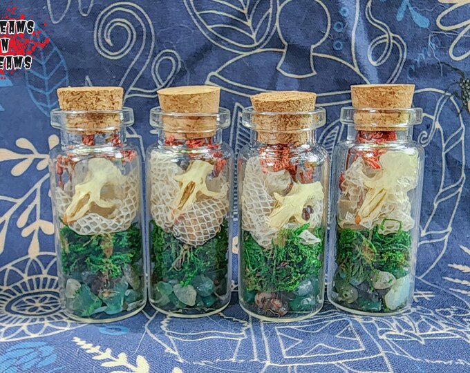 Skull Curiosity Vial Mini Curio Vial / Oddity Vial/ Oddity - Etsy