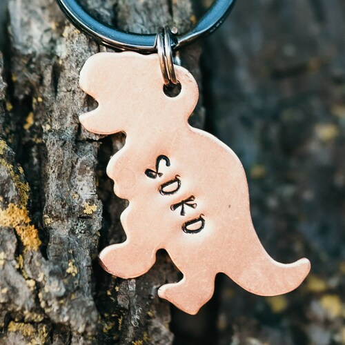 T-rex Pet Tag | Etsy