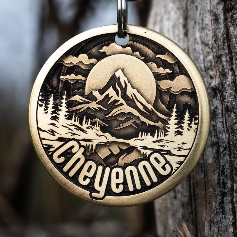 Dog Id Tags Layers - Etsy