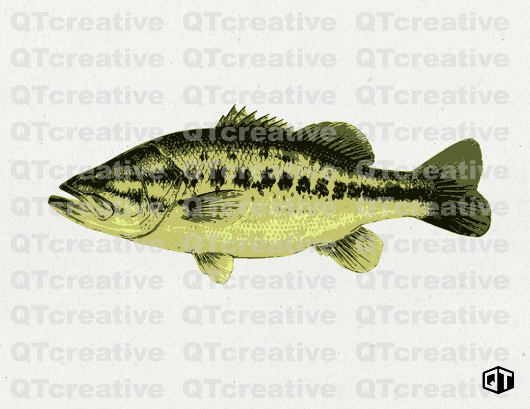 LARGEMOUTH BASS- Svg, Eps, Png, Jpeg. Instant Download! 1 Graphic - 4 ...