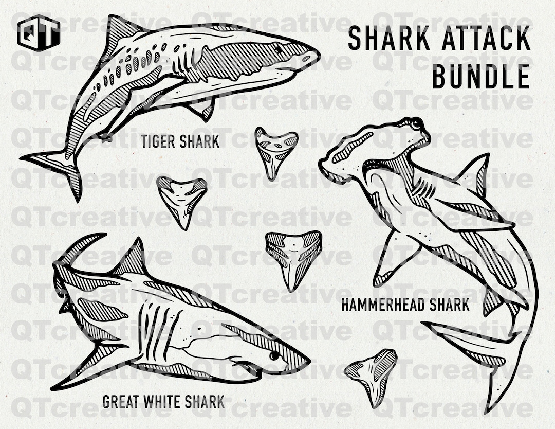 SHARK ATTACK BUNDLE- Eps, Svg, Jpeg, Png, . Instant Download! 3 Sharks ...