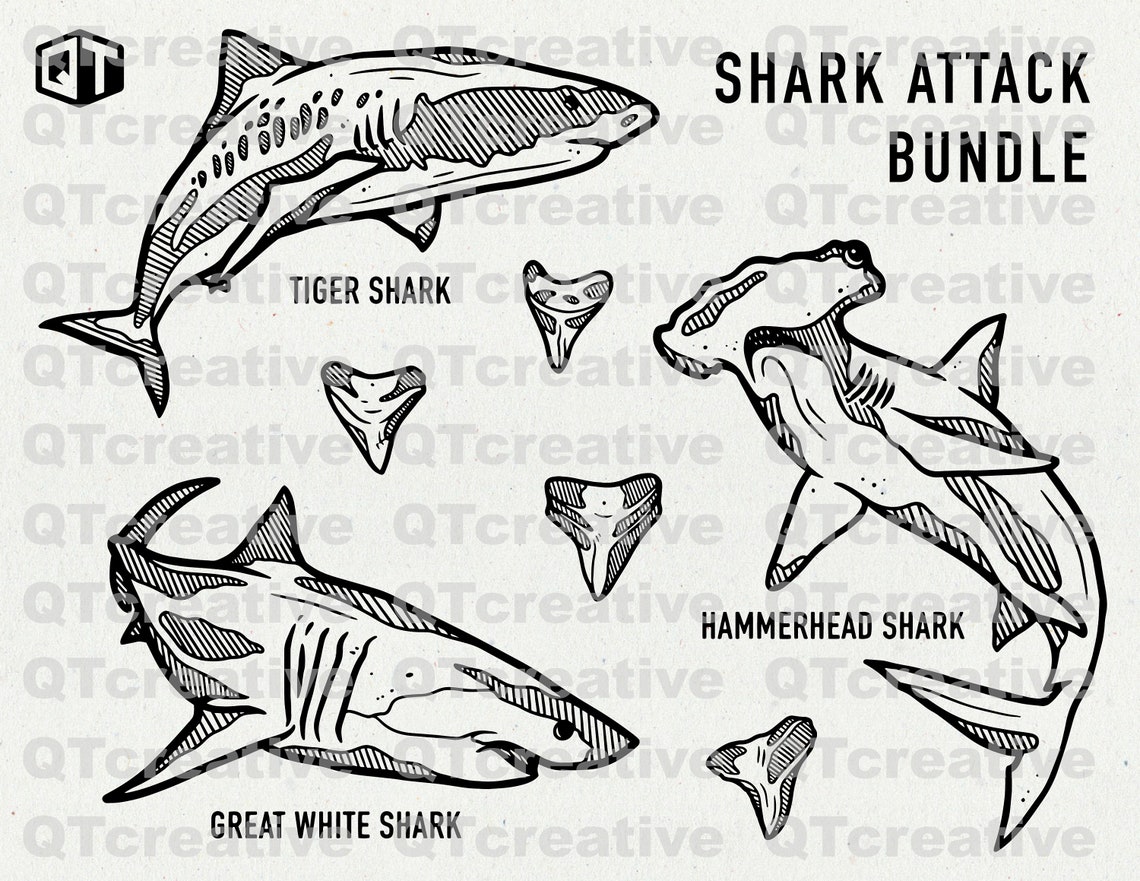 SHARK ATTACK BUNDLE- Eps, Svg, Jpeg, Png, . Instant Download! 3 Sharks ...
