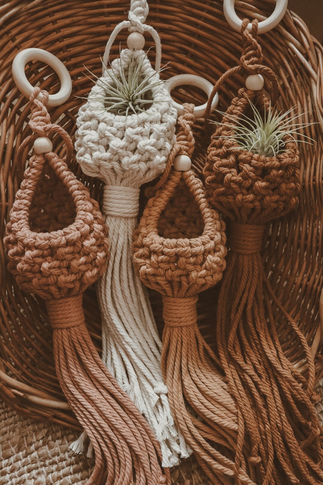 Boho Macrame Air Plant Hanging Pod | Modern Macrame Air Plant Pod ...