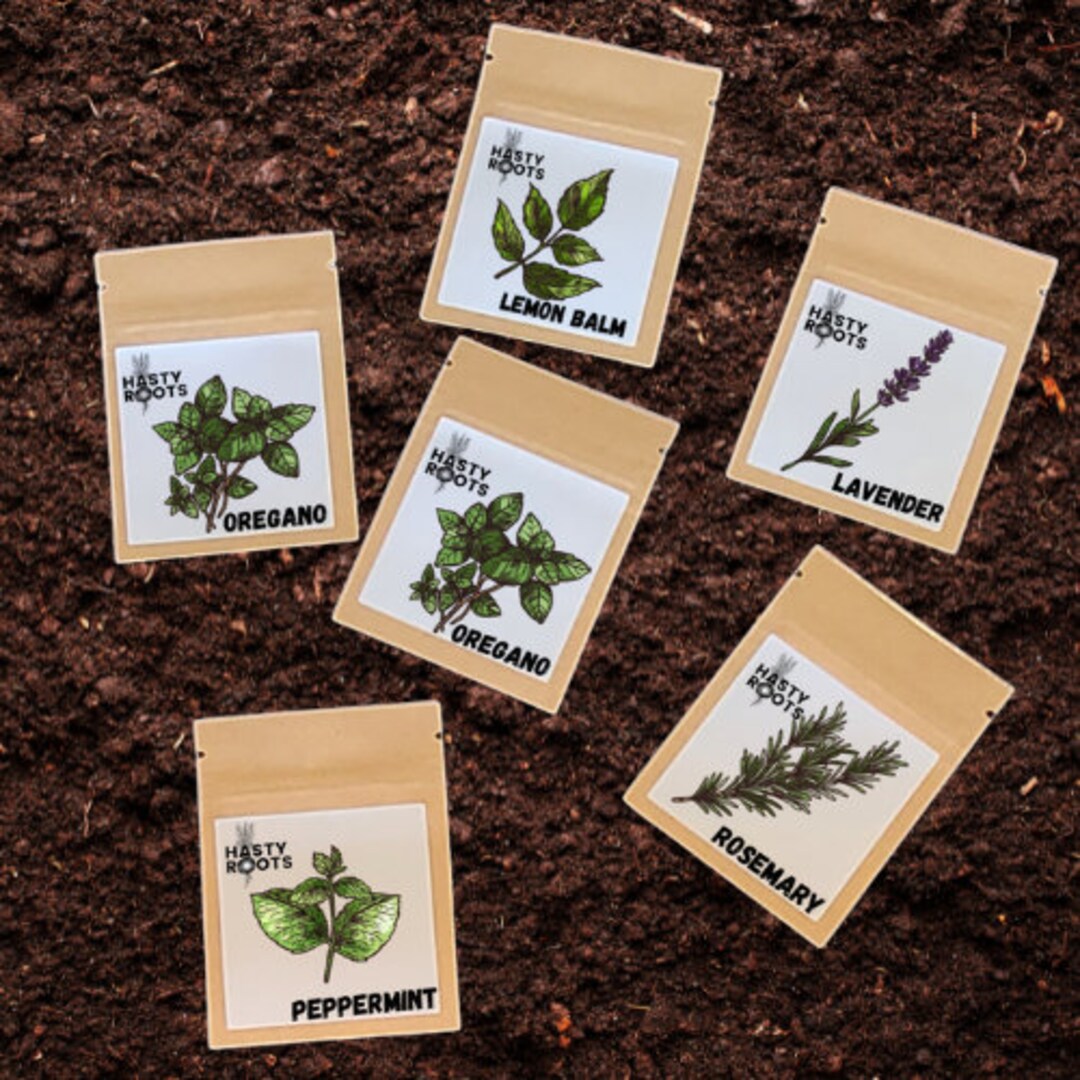 Grow Your Own Mosquito Repellent Kit, Natural Pest Repellant, Small ...