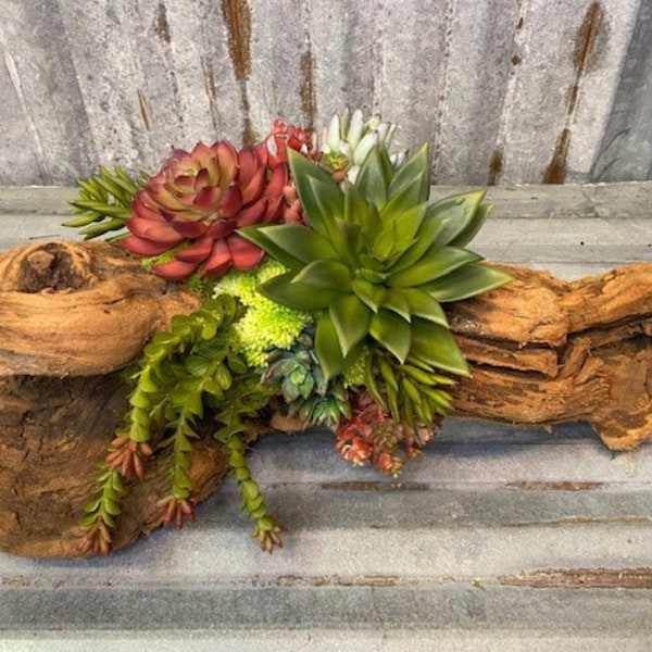 Succulent Log Planter - Etsy