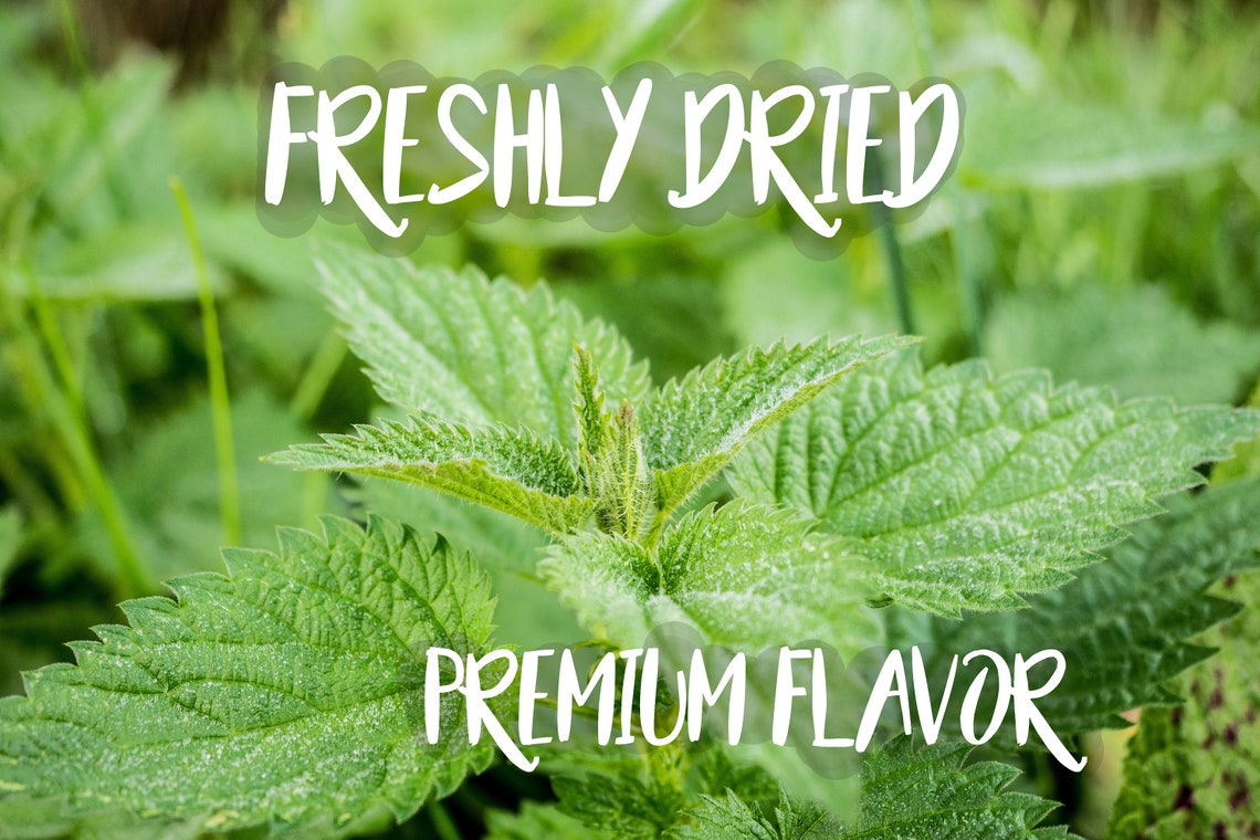 Dried Nettle Leaf Herbal Tea, Pure Dried Stinging Nettle Leaves, Dry ...