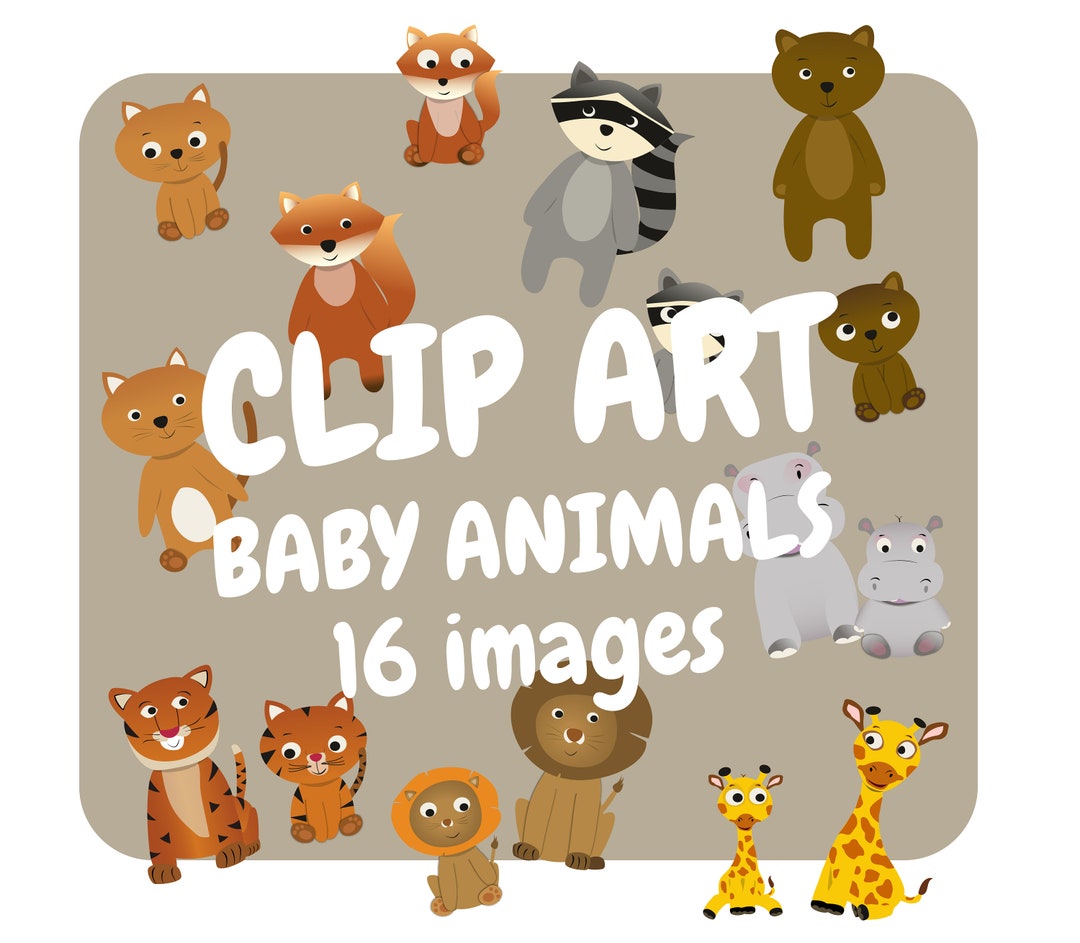 Baby Animals Clipart – 16 Animals Clip Art in PNG File - Etsy