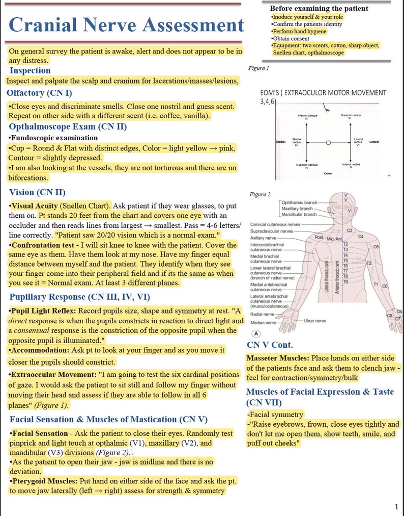 Cranial Nerve Assessment Cheat Sheet | Etsy