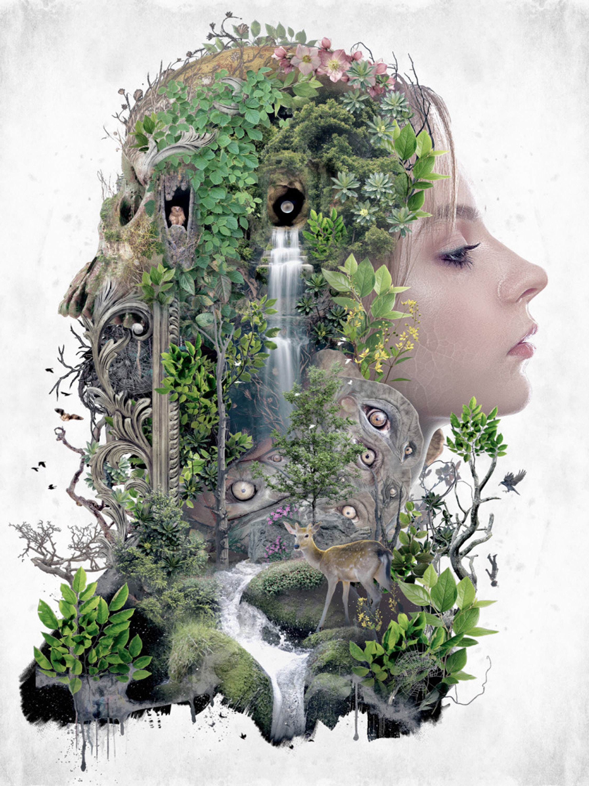 The Duality of Nature Poster - Etsy