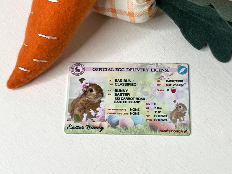 Easter Bunny Driver's License Official Egg Delivery - Etsy