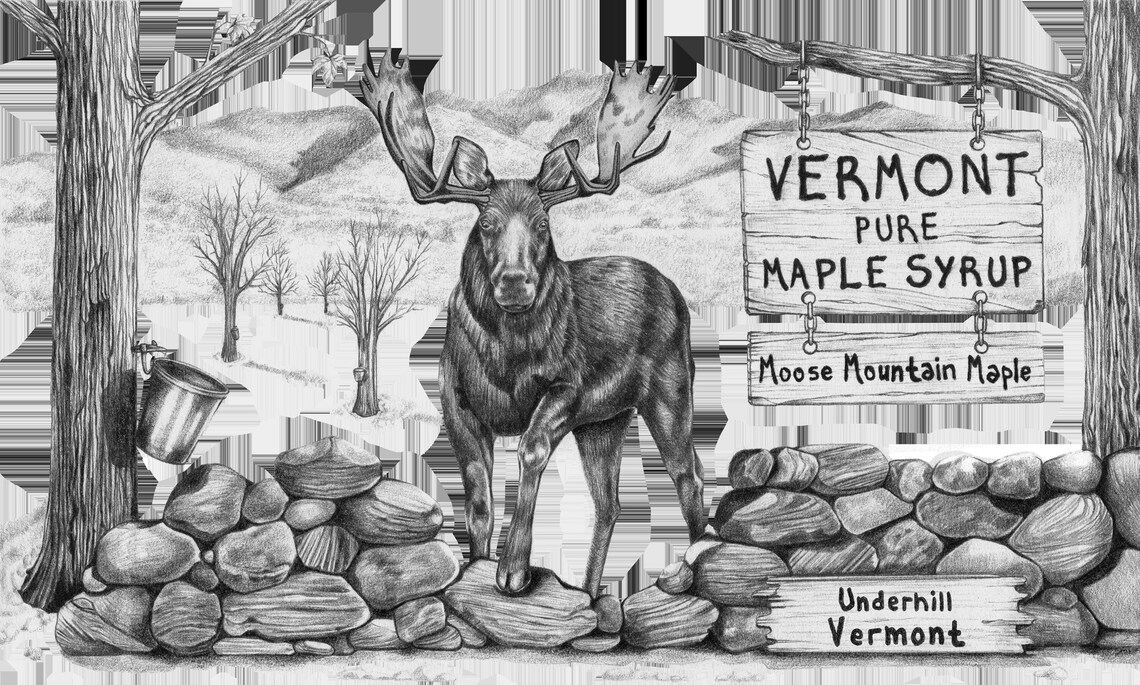 Vermont Organic Maple Syrup - Half Gallon - Etsy