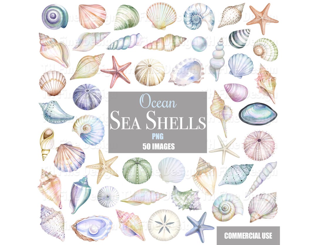 Seashells Sea Shells Clip Art Ocean Beach Sea Shells Clipart Summer ...
