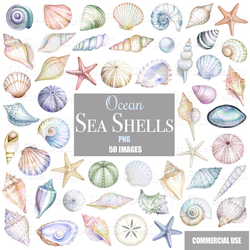 Sea Shell Dtf - Etsy UK