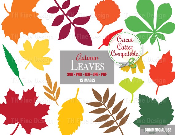 SVG Leaves Fall Autumn Leaf Cricut File Cutting Files Bundle - Etsy