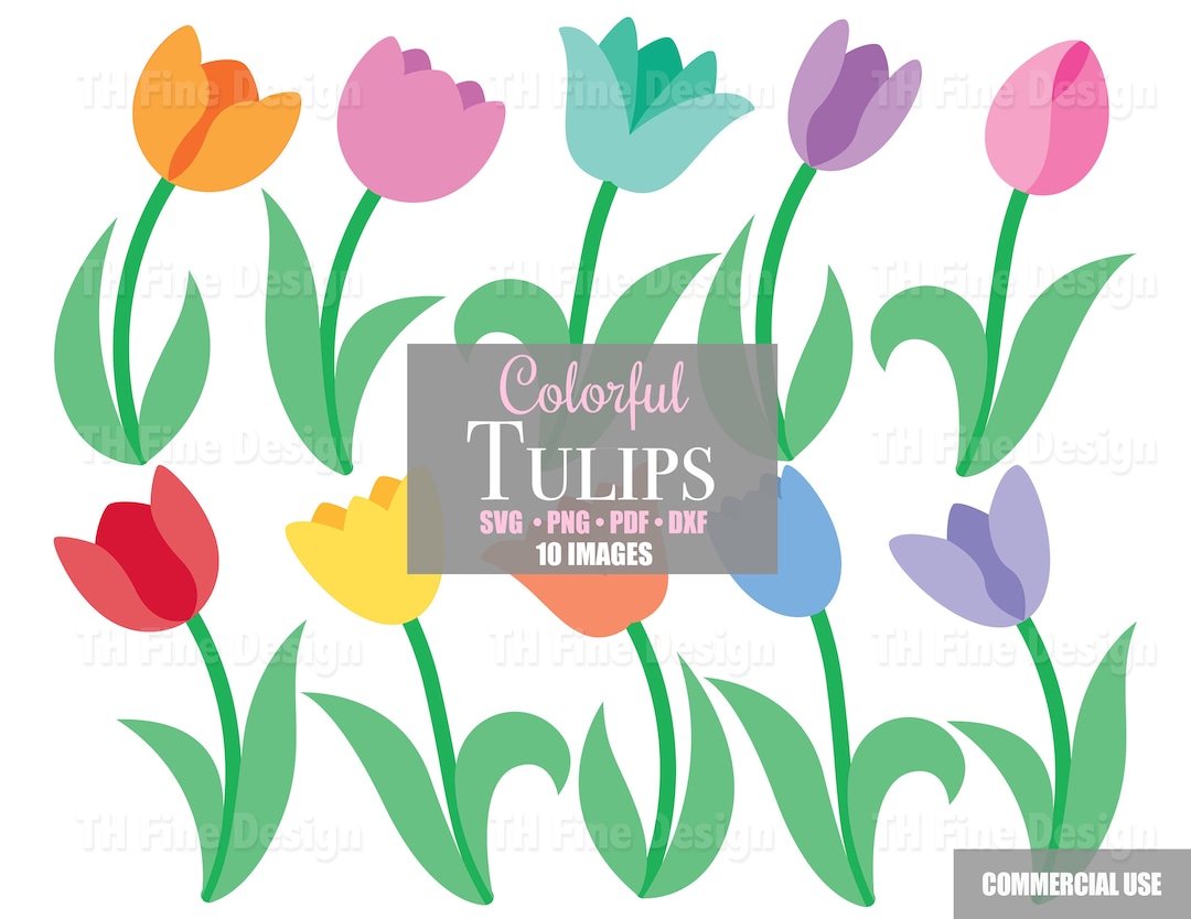 SVG Tulip Tulips Spring Flowers Floral Flower Layered Files Bundle ...