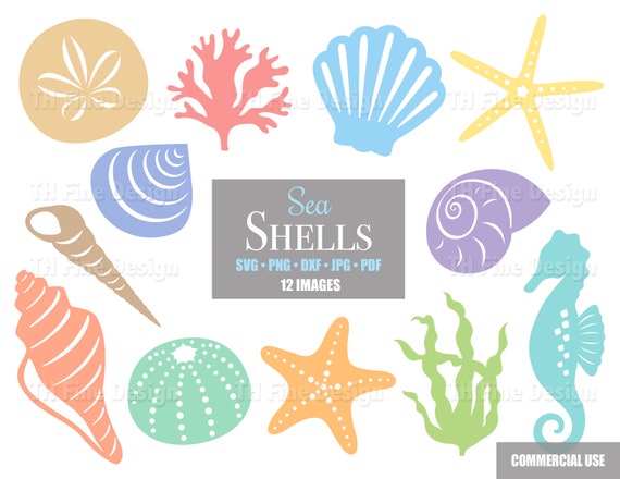 SVG Sea Shells Ocean Seahorse Starfish Sand Dollar Seaweed - Etsy