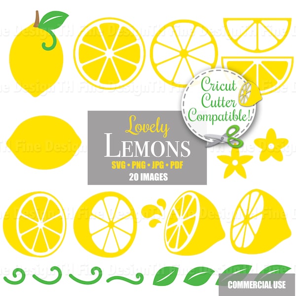 Lemon Slice Artwork - Etsy
