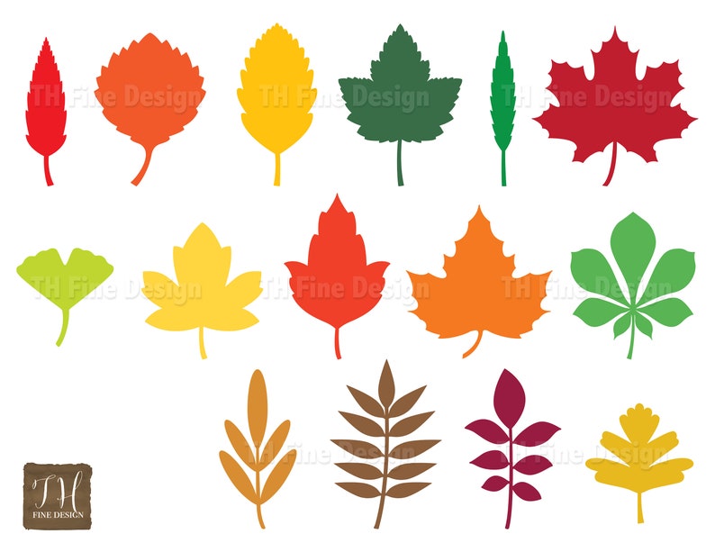 SVG Leaves Fall Autumn Leaf Cricut File Cutting Files Bundle - Etsy