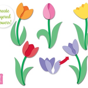 SVG Tulip Tulips Spring Flowers Clip Art Floral Flower Layered Files ...