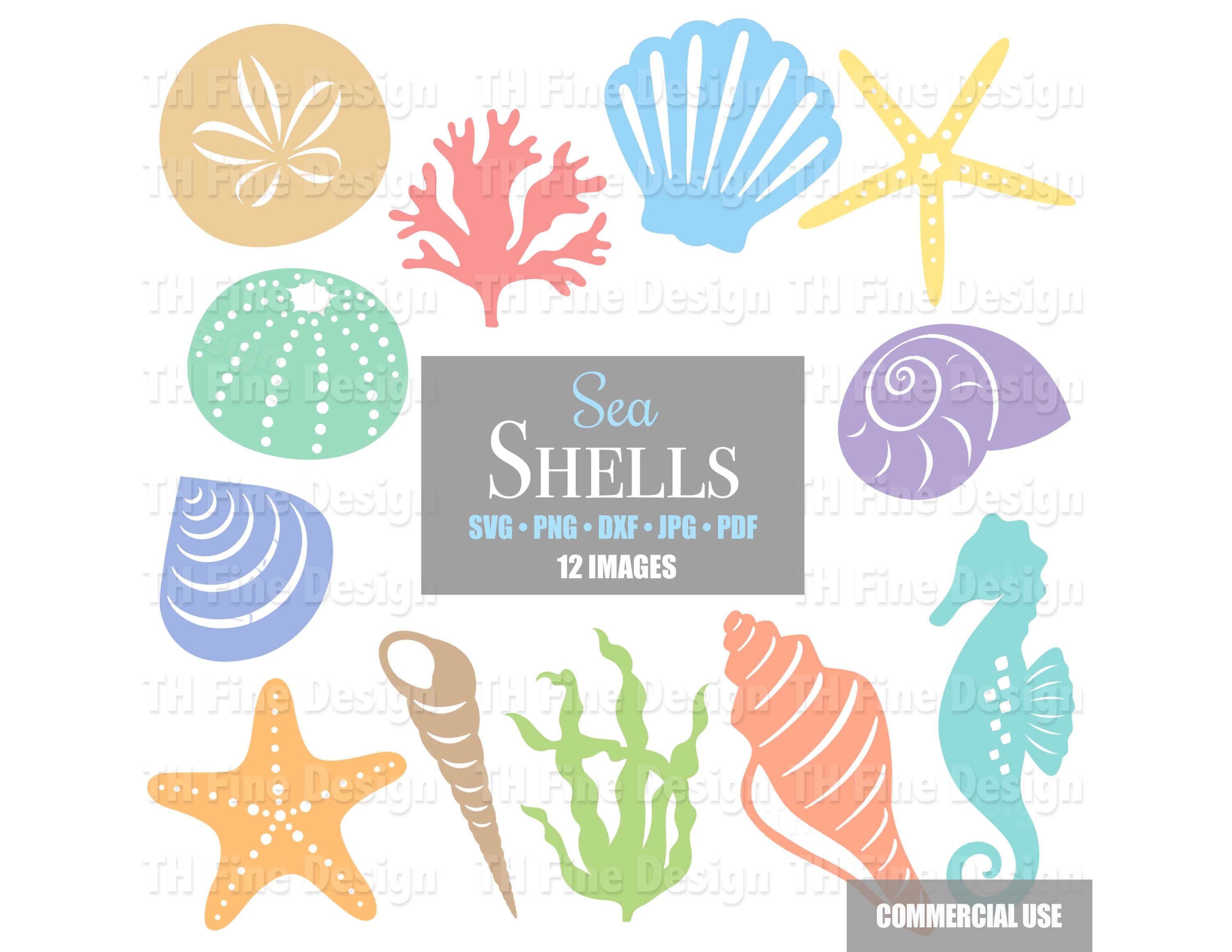Kleurrijke Schelp Clipart 2.906 Schelp High Res Illustrations Getty
